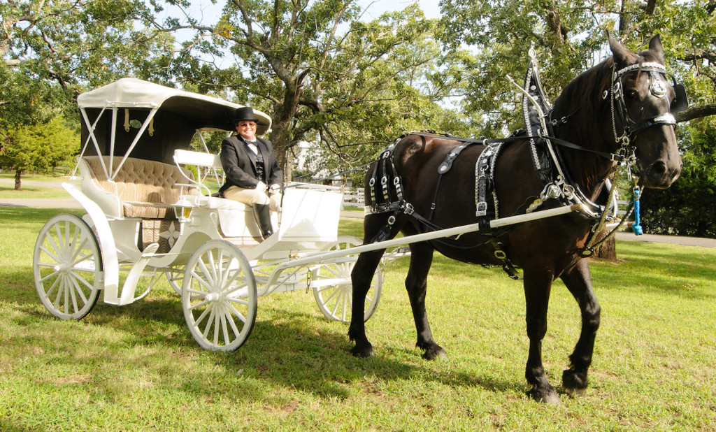 Funeral Hearse and Caisson – Ava K's Carriage Service