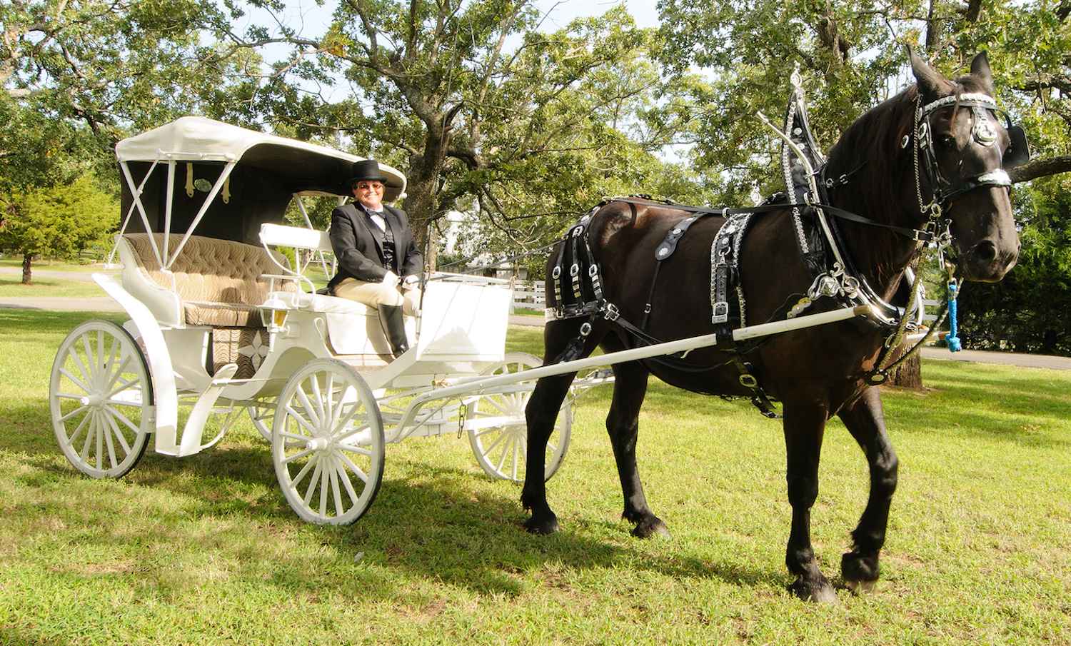 Horse-Drawn Sleigh – Ava K's Carriage Service