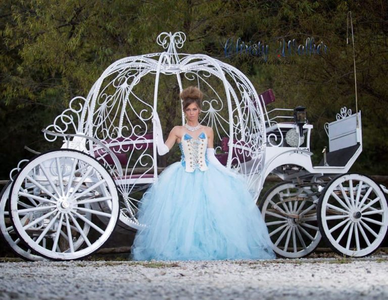 Funeral Hearse and Caisson – Ava K's Carriage Service